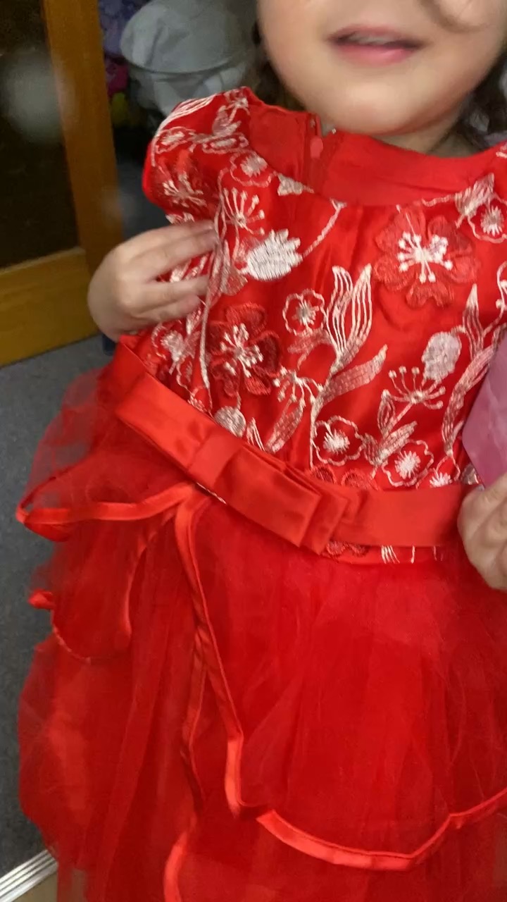 Girls Princess Dress Sleeveless Flower Embroidery Tutu Dress ...